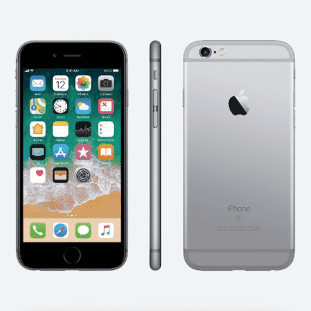 Apple iPhone 6 Sample Shots