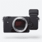 Sigma fp L