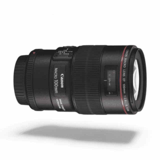 Camera Lenses - Real-World Sample Photos