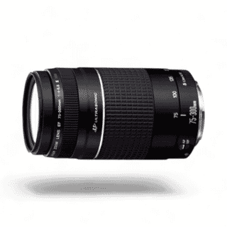 Canon EF 75-300mm f/4-5.6