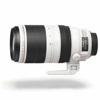 Canon EF100-400mm f/4.5-5.6L IS II USM +1.4x III