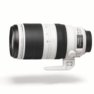 Canon EF100-400mm f/4.5-5.6L IS II USM +1.4x