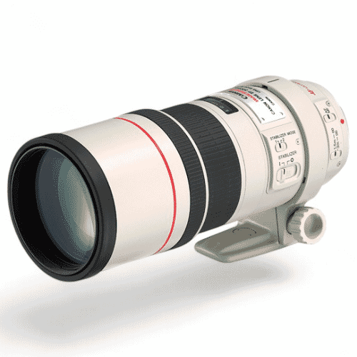 Canon EF300mm f/4L IS USM Sample Photos - Real World Performance