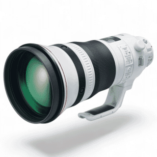Canon EF400mm f/2.8L IS III USM