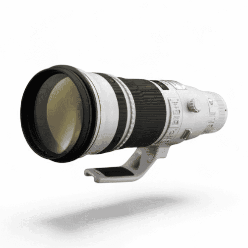 Canon EF500mm f/4L IS II USM +1.4x III Sample Photos - Real World