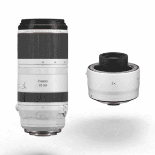 Canon RF100-500mm f/4.5-7.1 L IS USM + EXTENDER RF1.4x